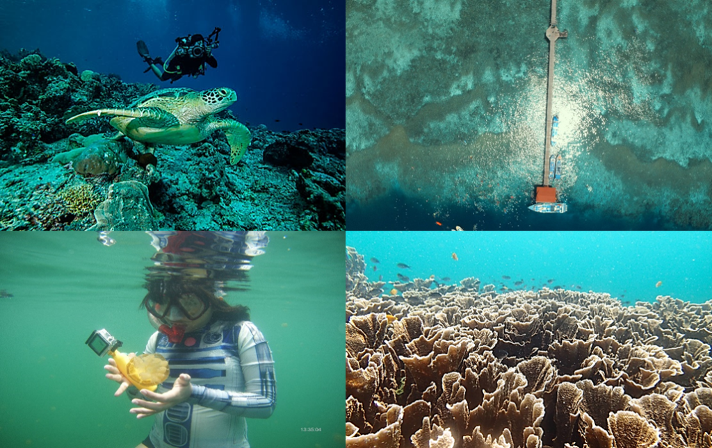 3 Days 2 Nights Derawan Island | Senopati Tours